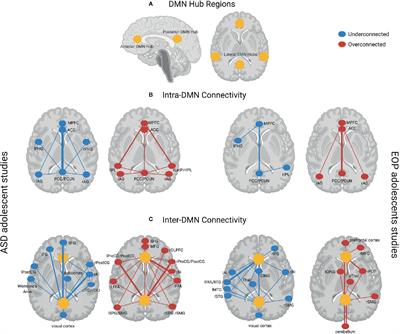 Frontiers | A Review of Default Mode Network Connectivity and Its Association With Social ...